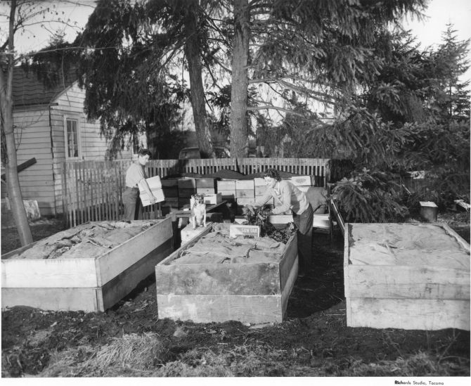 Worm Farm | Tacoma Public Library